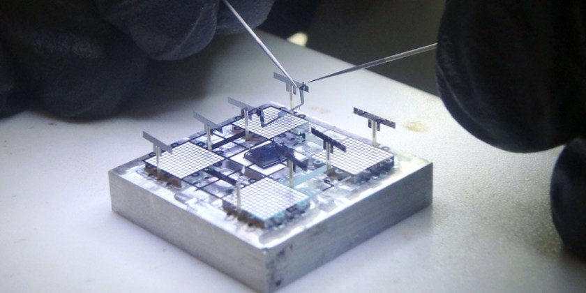 Microrobots fly, walk and jump into the future – Scientists Talk Funny